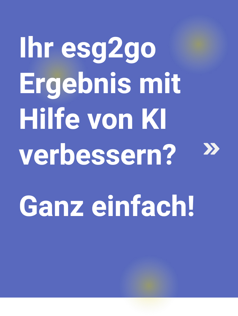 Einen esg2go-Intelligence Report erstellen | esg2go